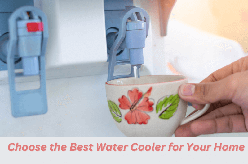 Water Cooler for Your Home